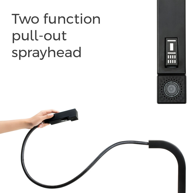 Pfister Arkitek Pull Out Single Handle Kitchen Faucet & Reviews | Wayfair